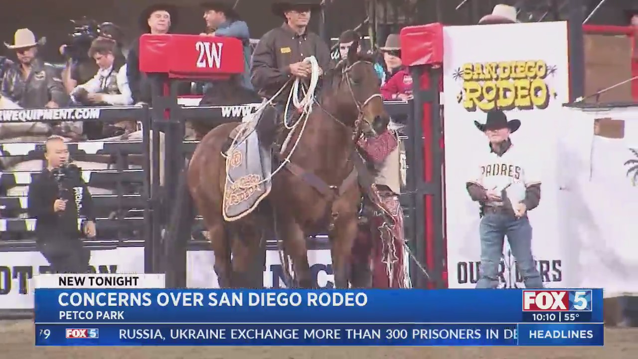 Animal rights activists protest upcoming San Diego Rodeo at Wild Horses ...