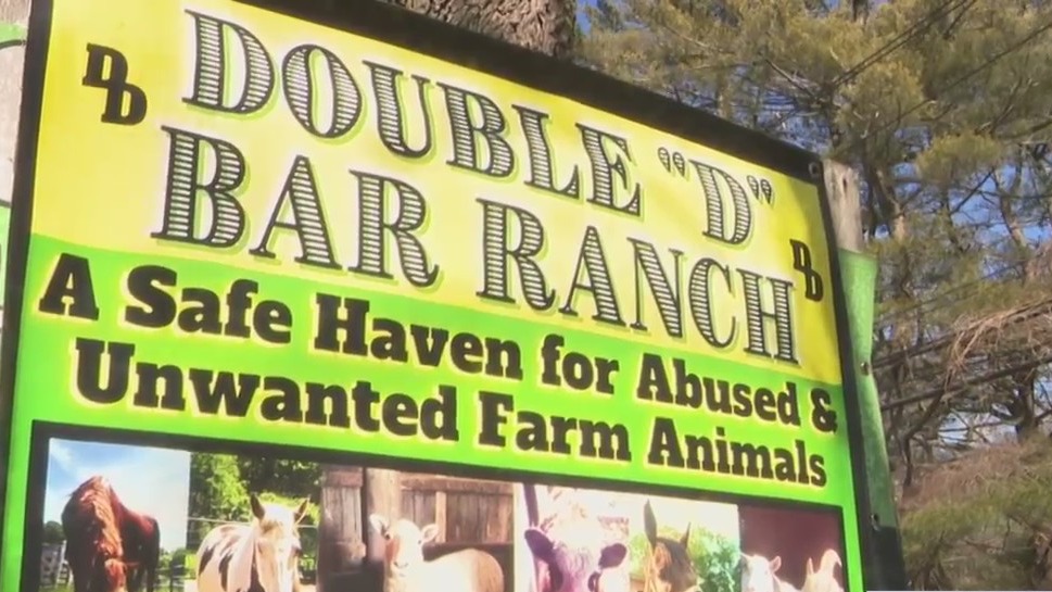 ‘Living on corpses’: Animal sanctuary faces neglect charges – PIX11
