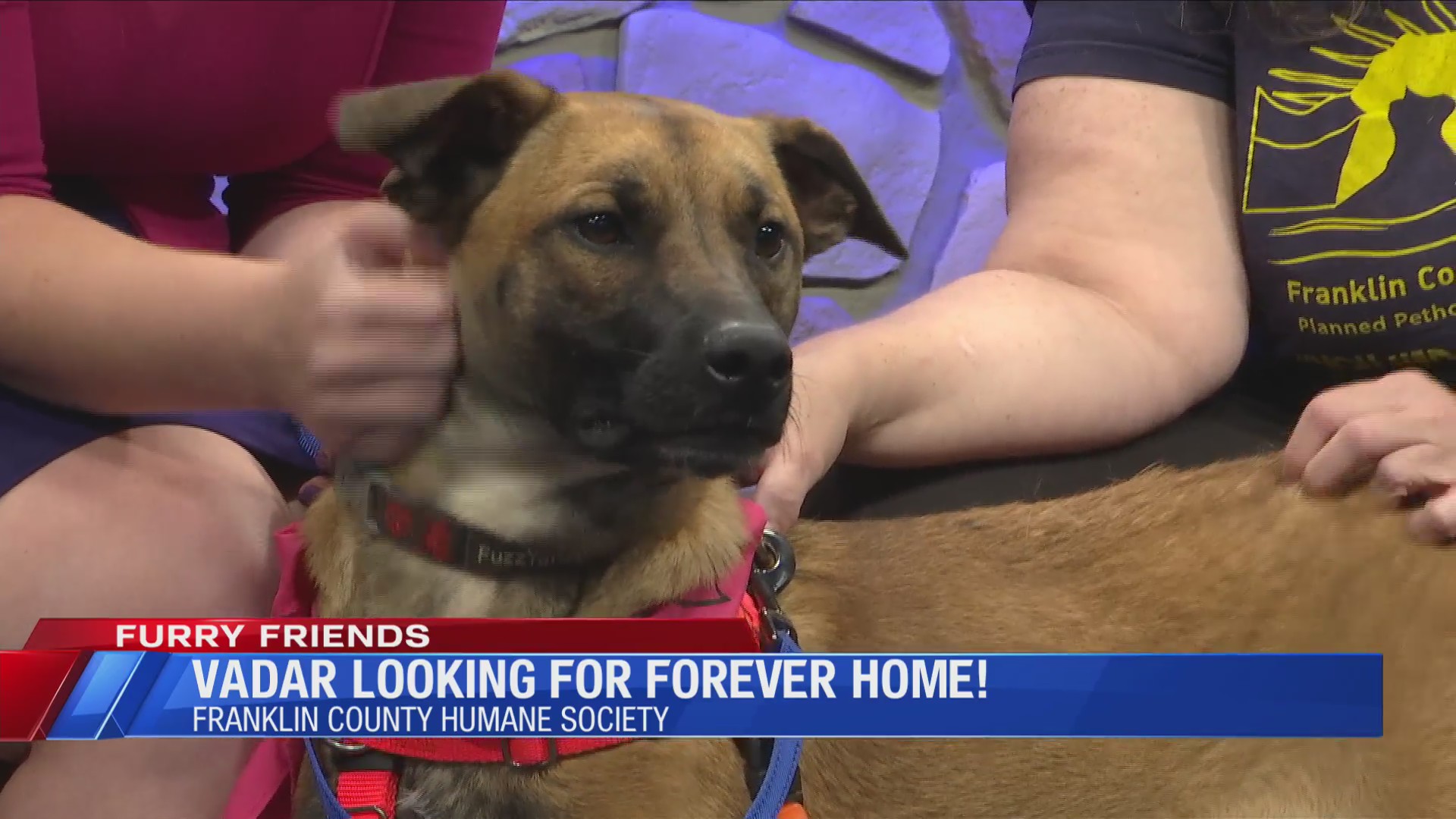 Furry Friends – Meet Vadar – WFXRtv