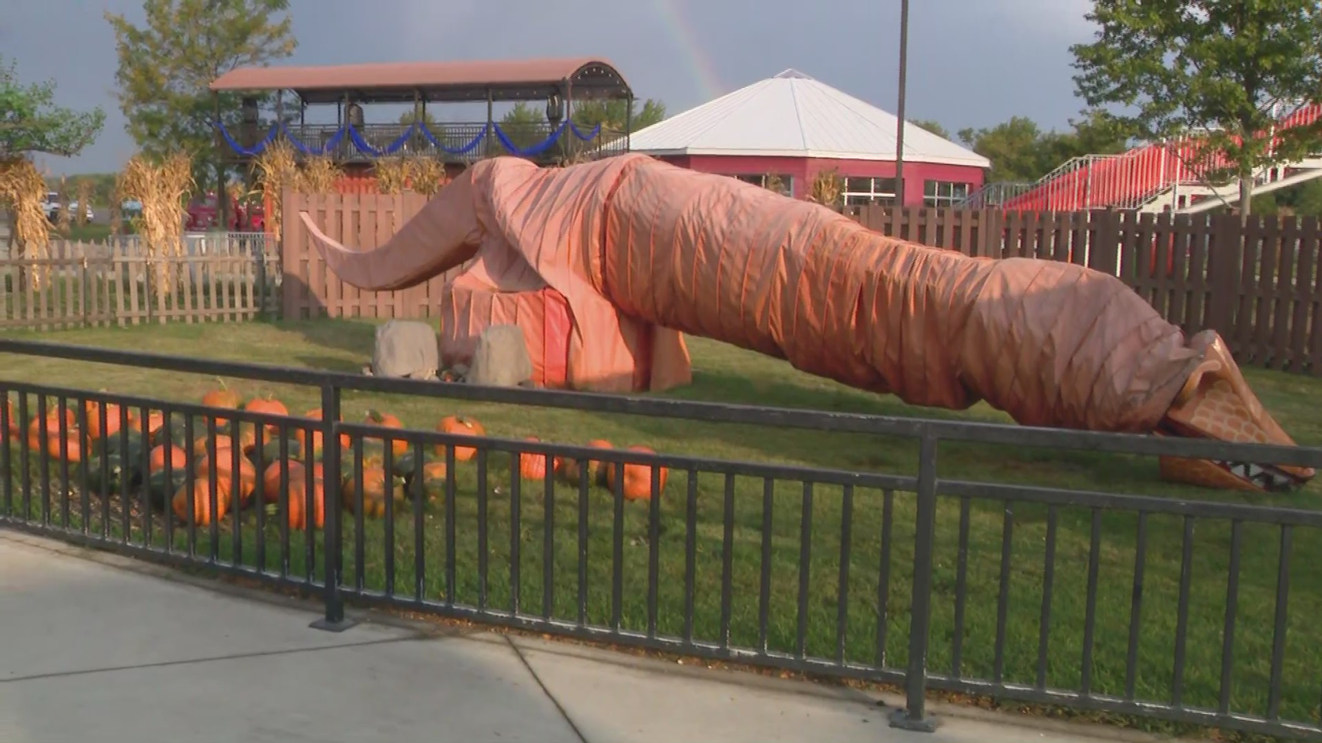 Weekend Break: Goebbert’s Farm in Pingree Grove – WGN-TV