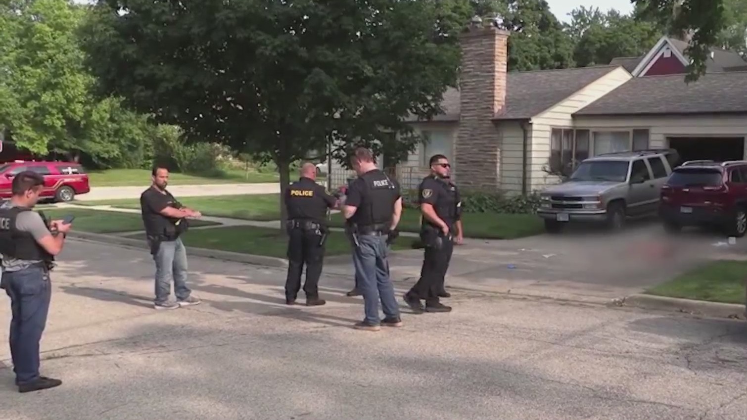 Elgin police shoot, kill dog shot attacking owners – WGN-TV