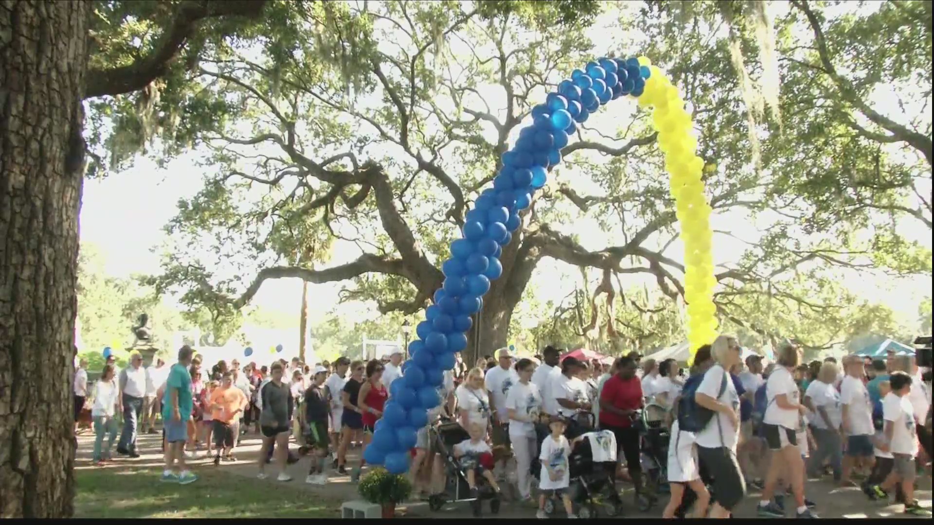 Community Corner: Lowcountry Down Syndrome Society to host 19th annual ...
