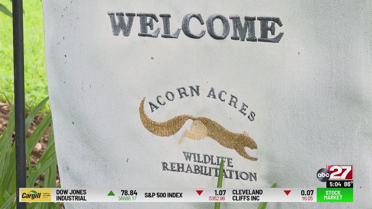 Acorn Acres to become Lancaster County’s first commercial wildlife ...