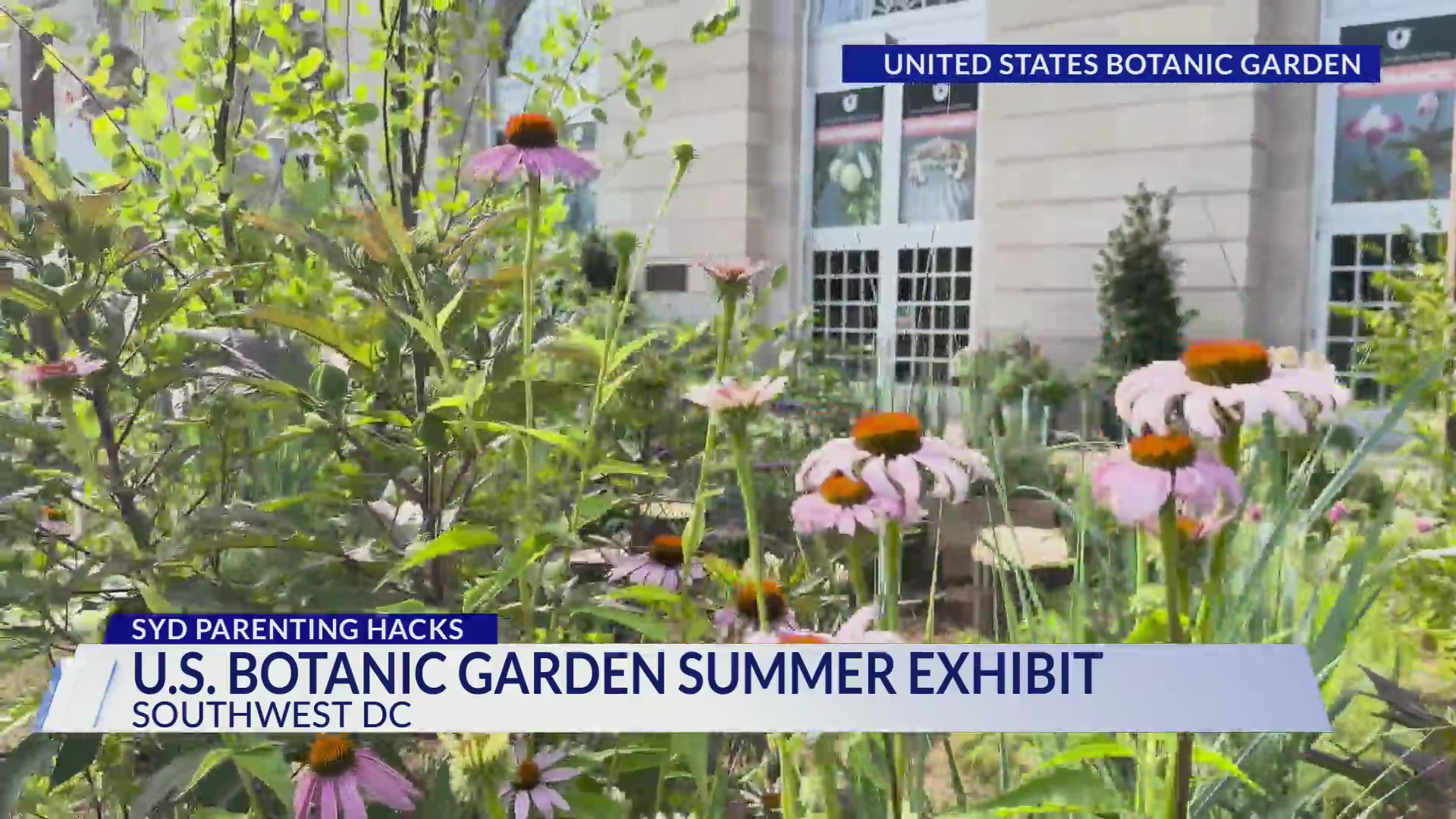 U.S. Botanic Garden summer exhibit highlights unique displays – DC News ...