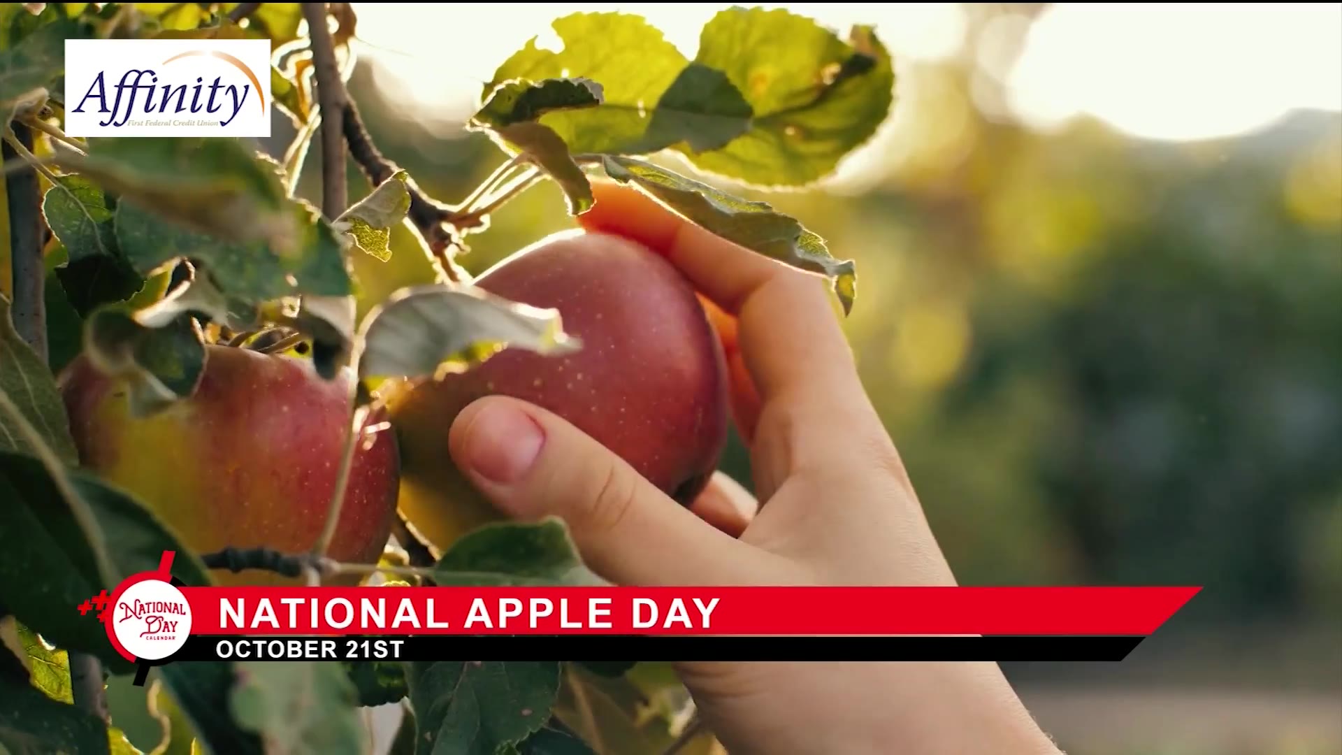National Day Calendar: October 21st – KX NEWS