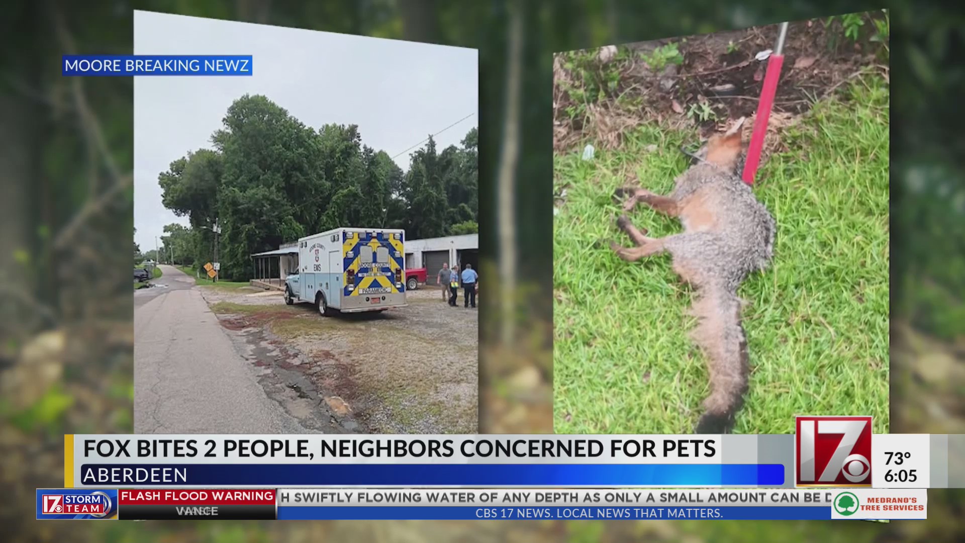 Aberdeen community worried after fox attacks 2 people – CBS17.com