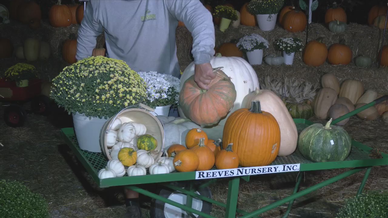 Fall at Reeves Nursery is in Full Swing – mypanhandle.com