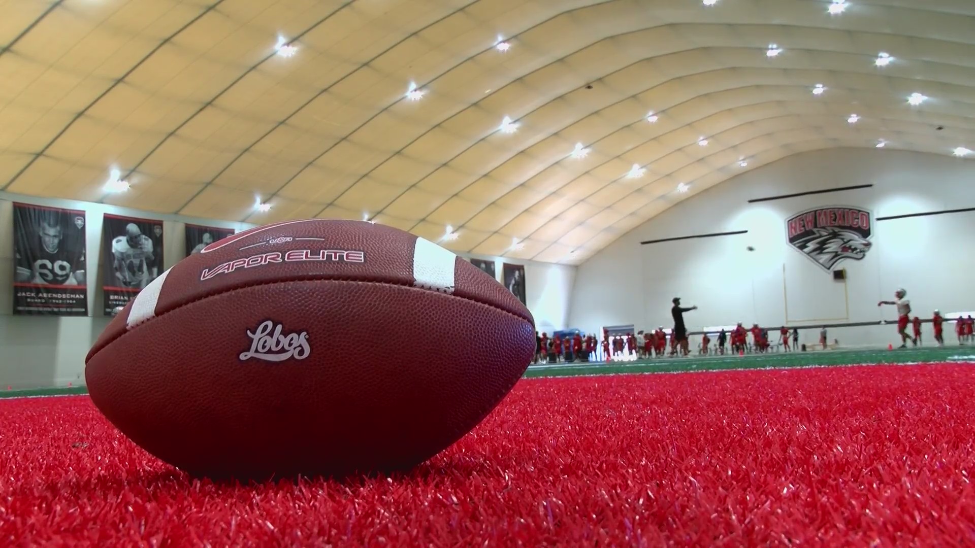 Lobo football begins training camp with quarterback battle – KRQE NEWS ...