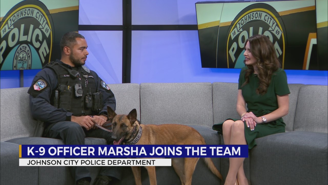 Meet Johnson City Police Department’s new K9 Officer, Marsha – WJHL ...