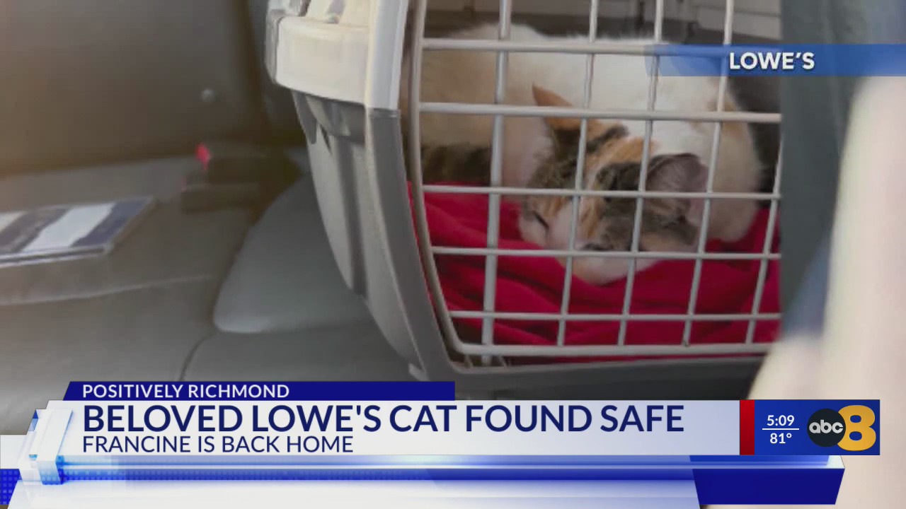 Upon Lowe’s cat Francine’s return home, Richmond SPCA waives cat ...
