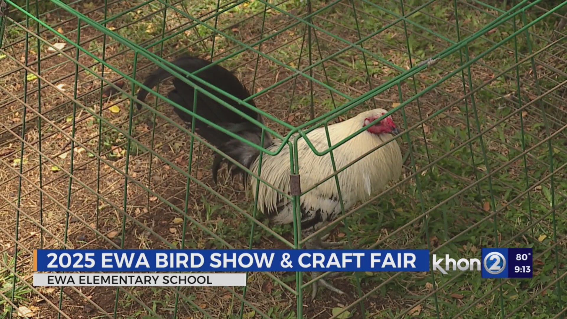 Ewa Bird Show returns with birds, food and family fun – KHON2