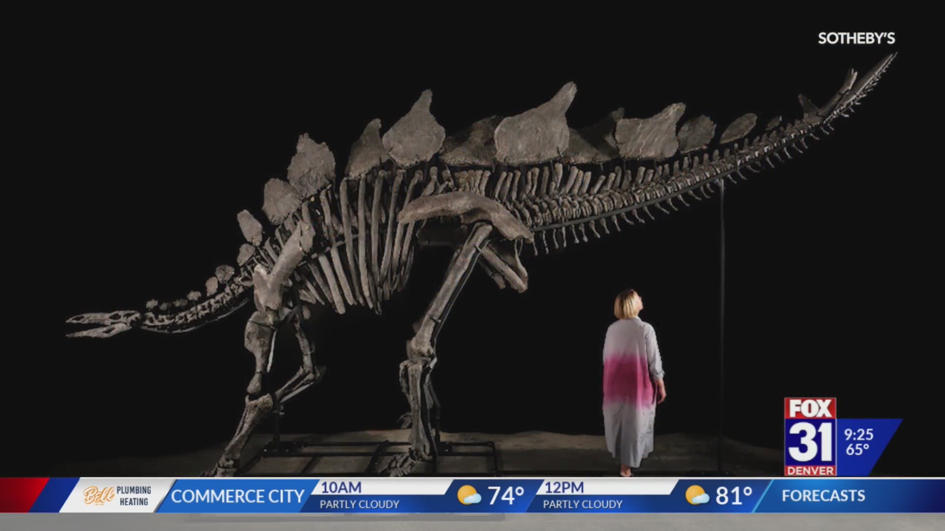 Dinosaur fossils found in Colorado estimated to sell for millions ...