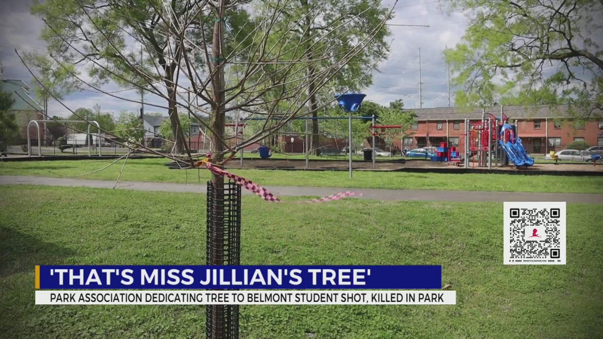 Park Association dedicating tree to Belmont University student shot ...