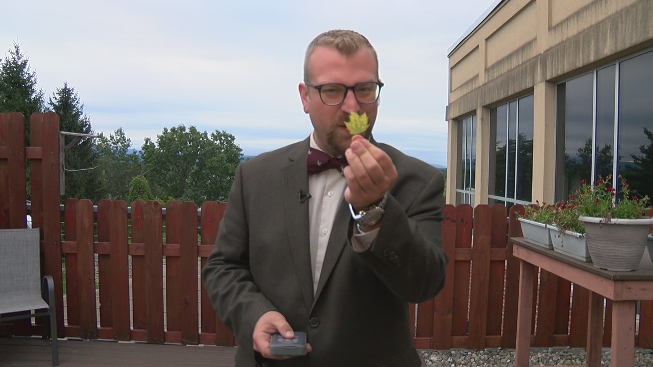 Vermont has a “Very High” fire danger risk today – ABC22 & FOX44