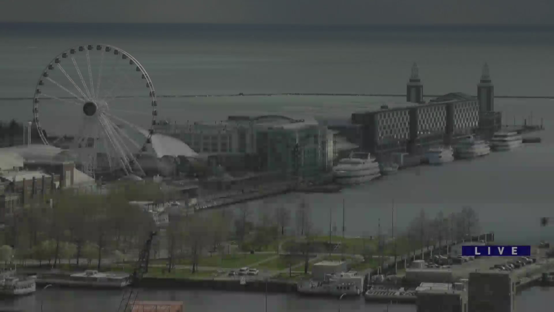 Terry Savage Answers Your Money Questions – WGN-TV