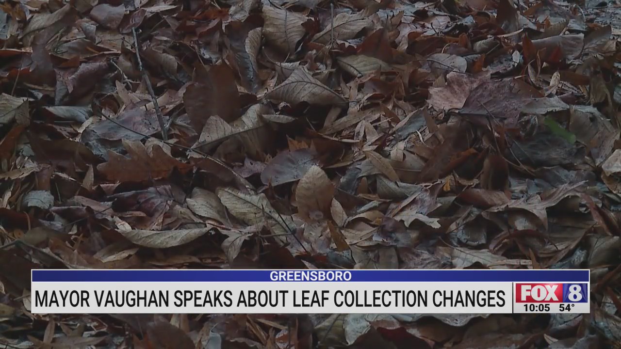 Greensboro mayor explains loose leaf collection after complaints – FOX8 ...