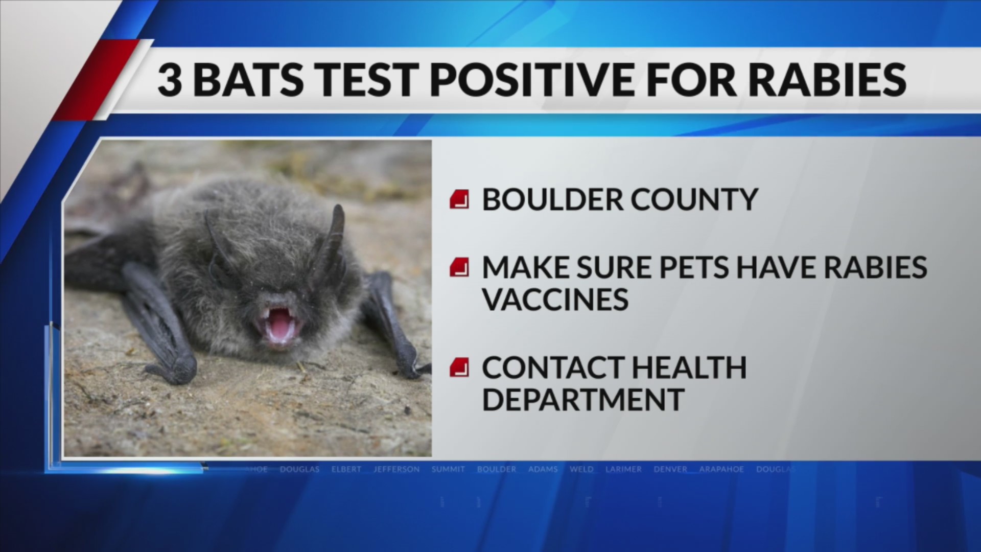 3 Boulder County bats test positive for rabies – FOX31 Denver