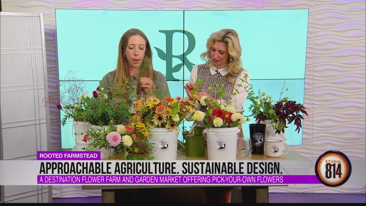Pick your own beautiful flowers at Rooted Farmstead in Bellefonte ...