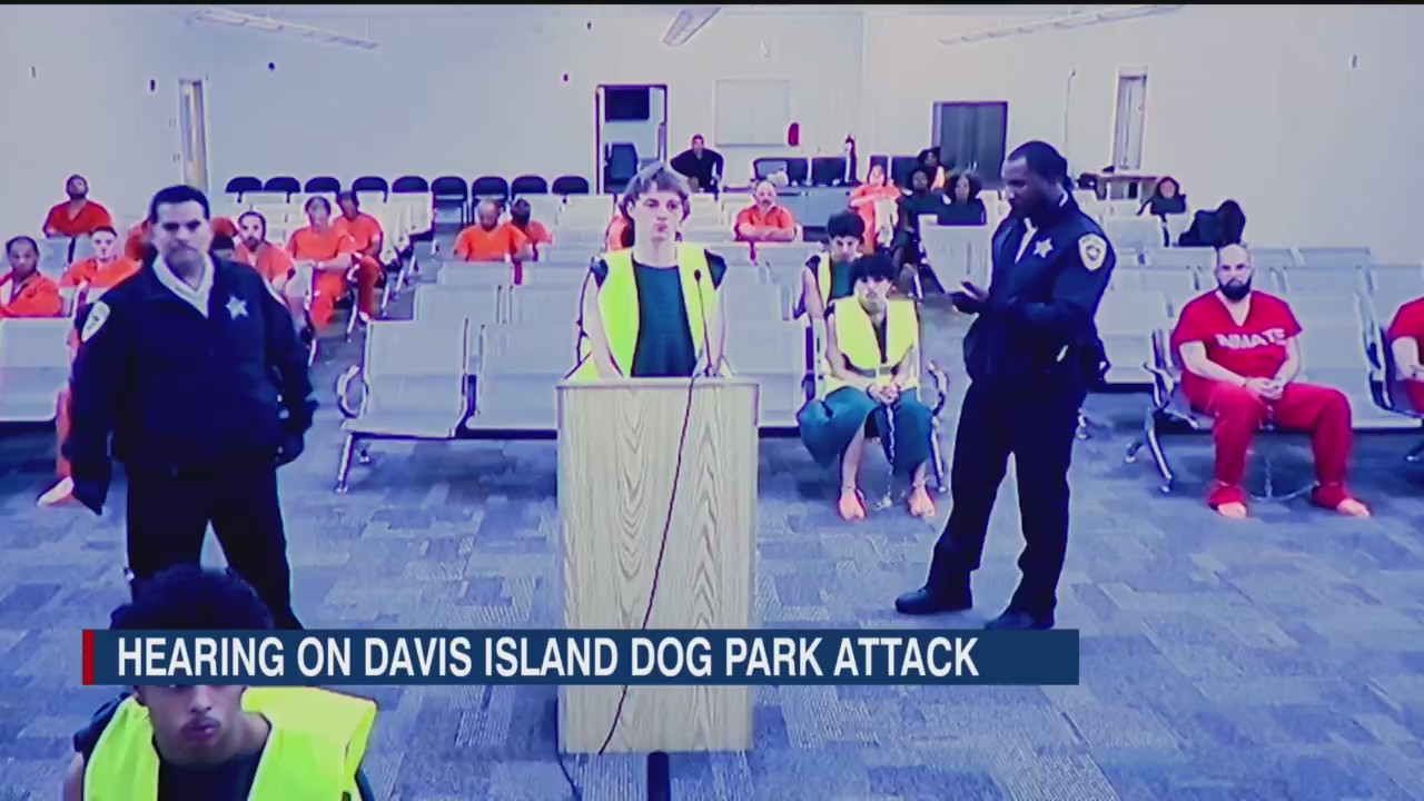 Suspects in Davis Islands Dog Park attack appear in court – WFLA