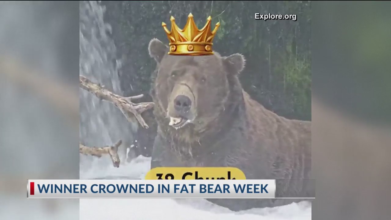 ‘Chunk’ crowned ‘Fat Bear Week’ winner – KSNT 27 News