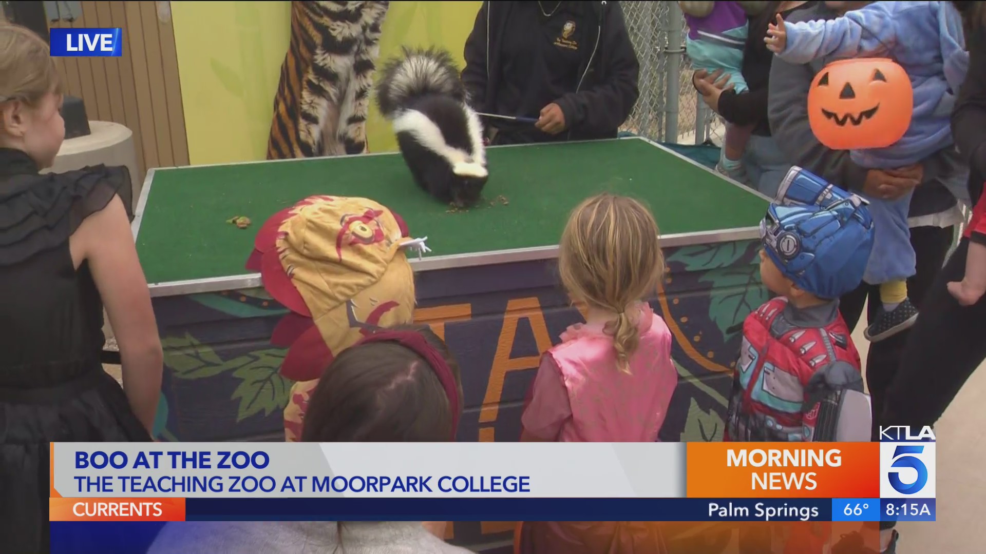 Halloween fun awaits at Moorpark College’s ‘Boo at the Zoo’ – KTLA