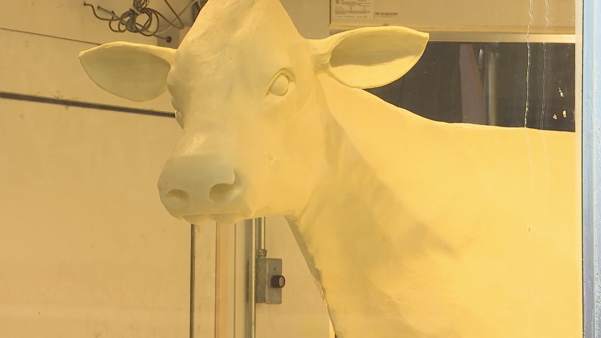 Illinois Butter Cow sculpture unveiled at 2025 Illinois State Fair – WGN-TV