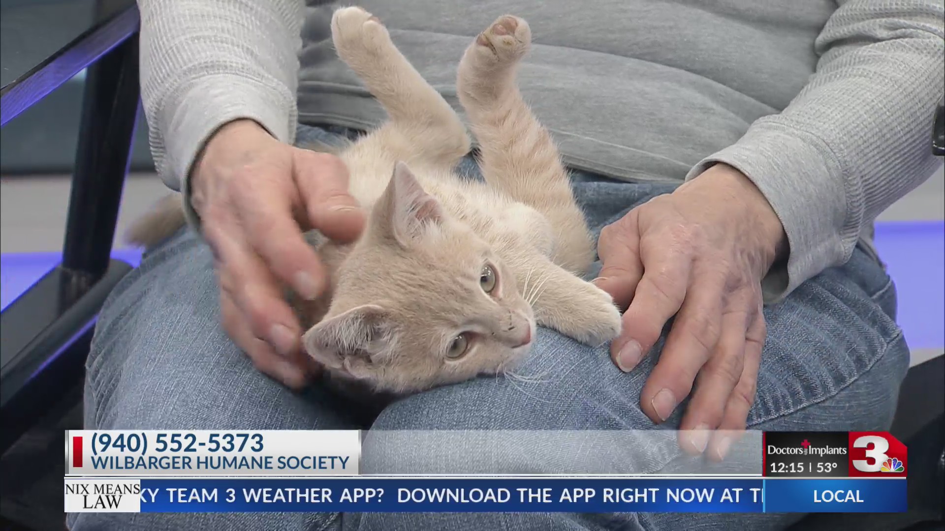 Sonny from Wilbarger Humane Society – Texomashomepage.com