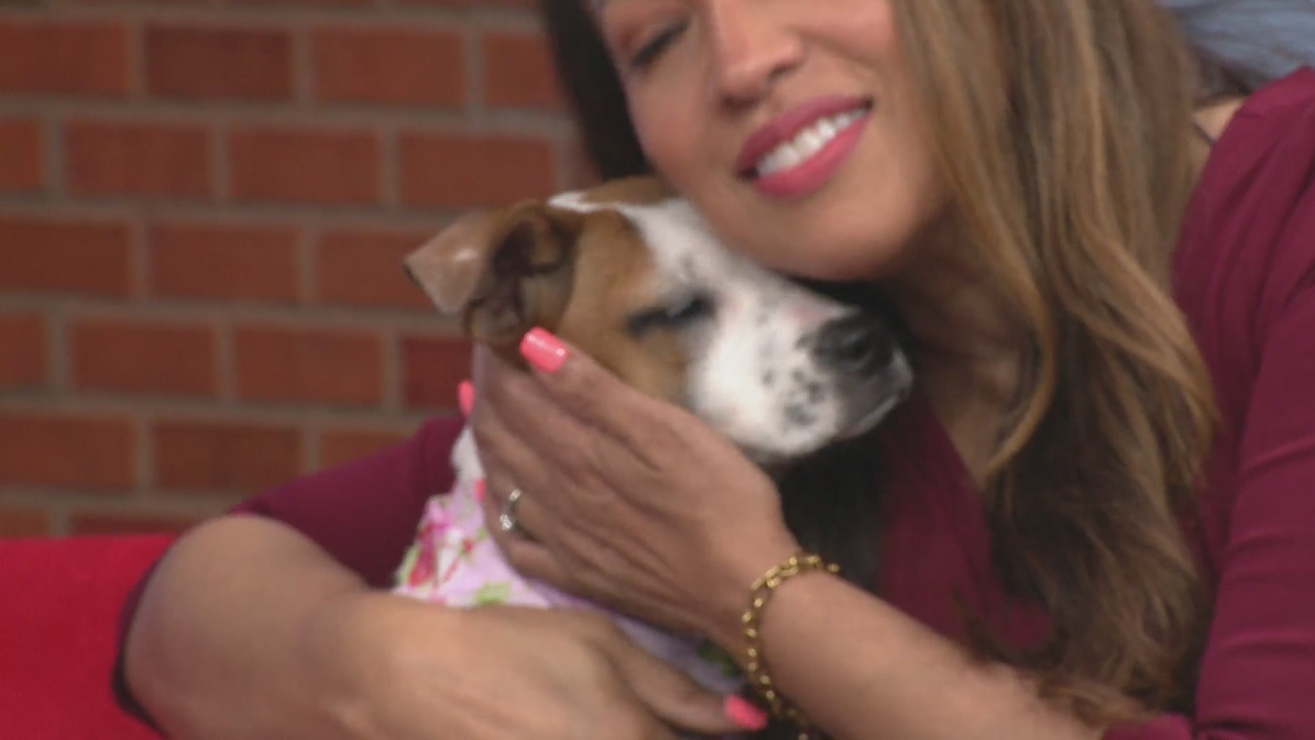 Meet Poppy, the lovable rescue pup and see photos of her sister Violet ...