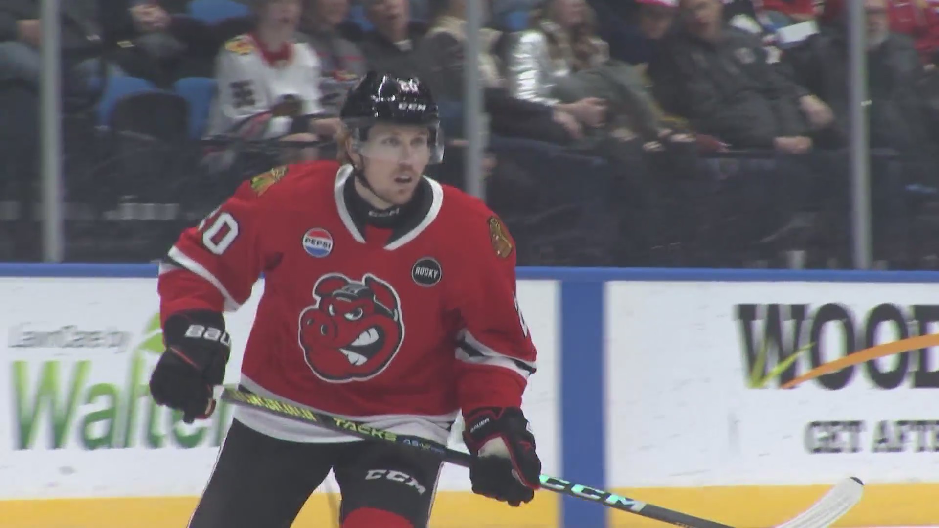Rem Pitlick one of the biggest keys to the IceHogs’ second-half surge ...
