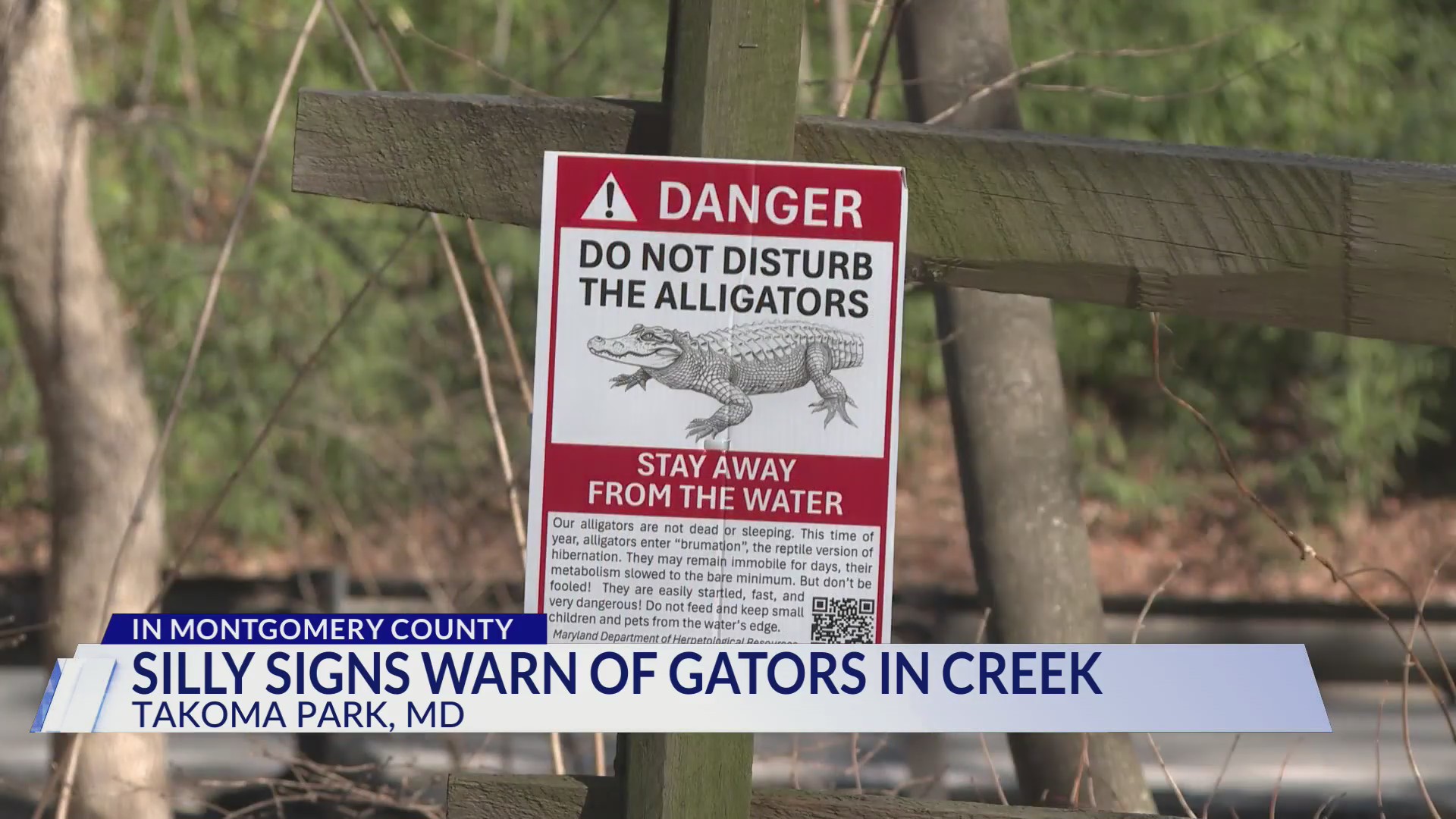 Charges pending after alligator signs pop up in Takoma Park, police say ...