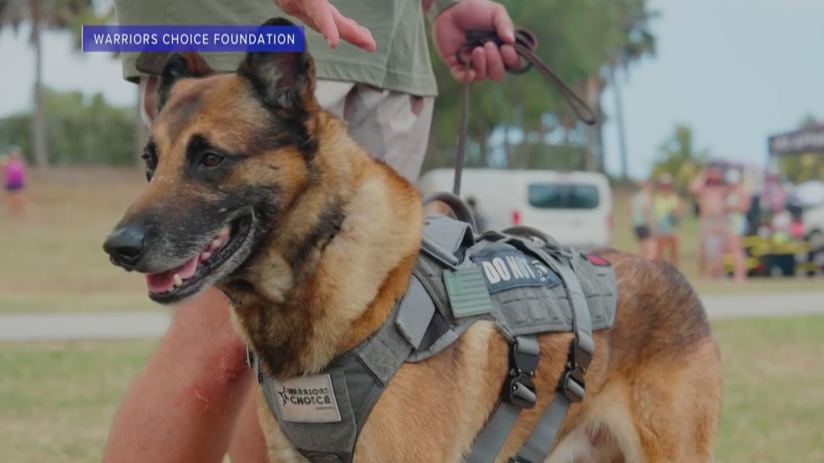 Warriors Choice Foundation looks to redefine veteran resources ...