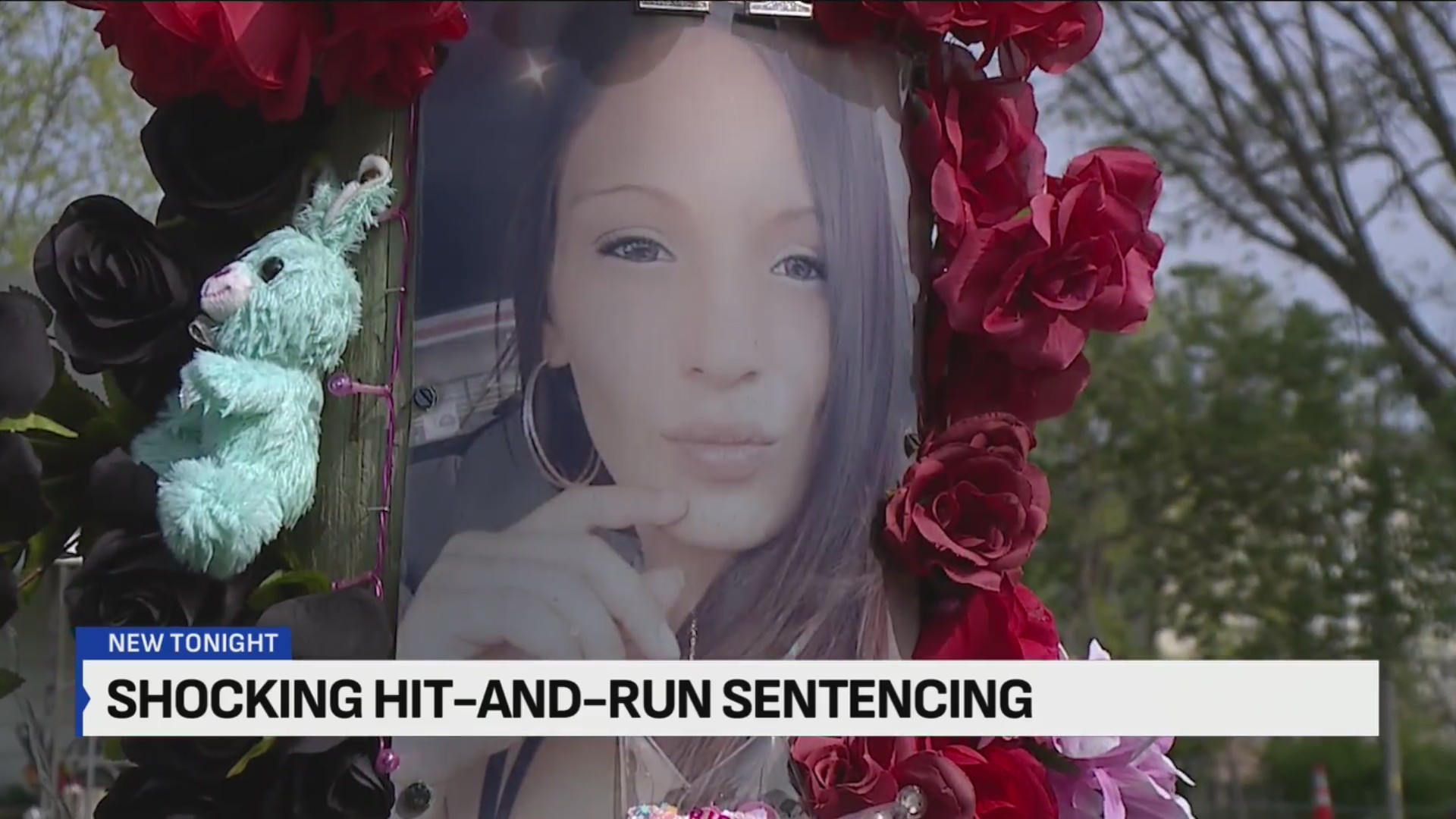 Fiancé of hit-and-run victim speaks out after driver sentenced to house ...