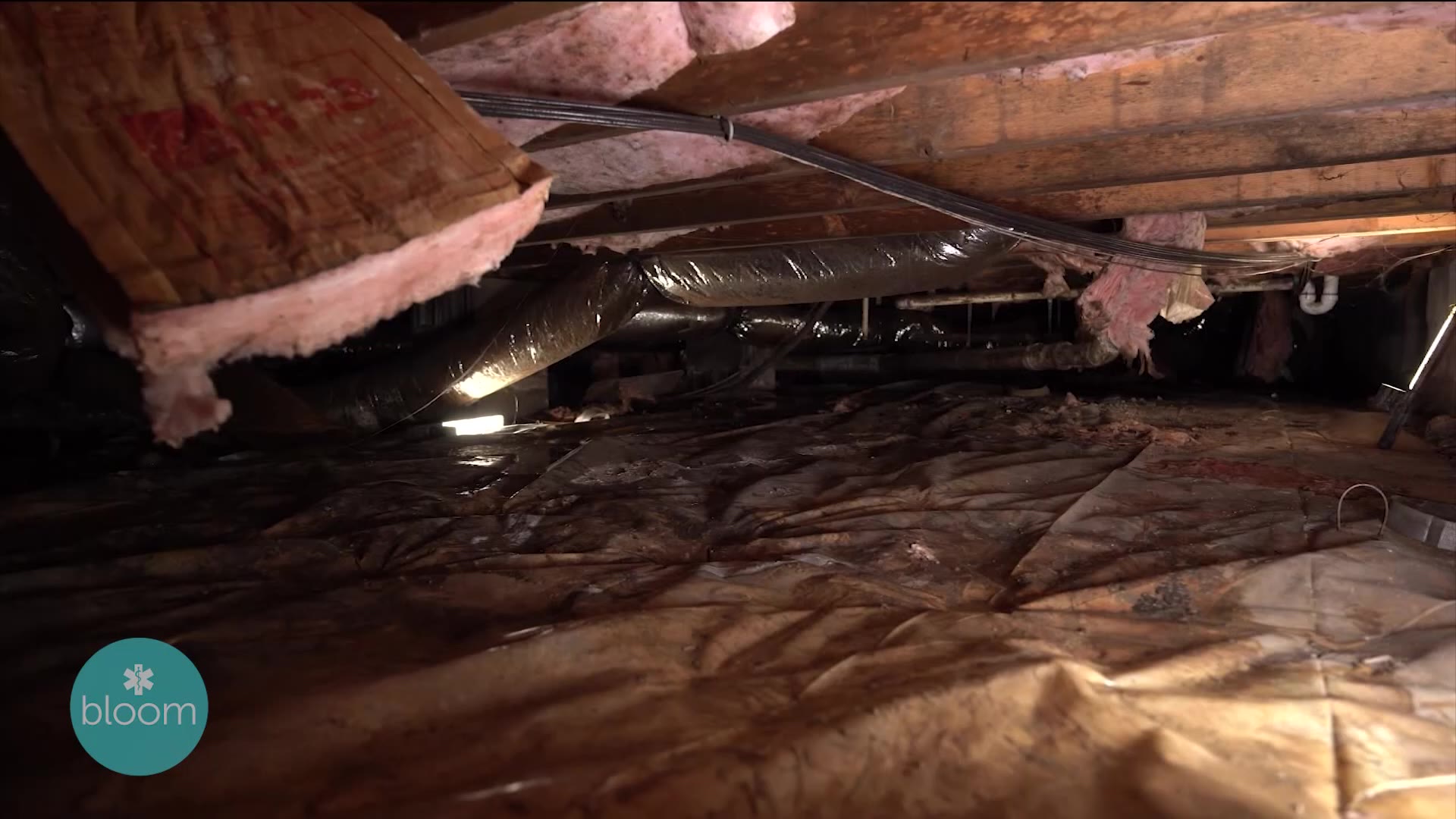 What to know about crawlspaces – WFLA