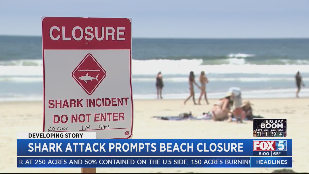 How often do shark attacks happen in Del Mar? – FOX 5 San Diego & KUSI News