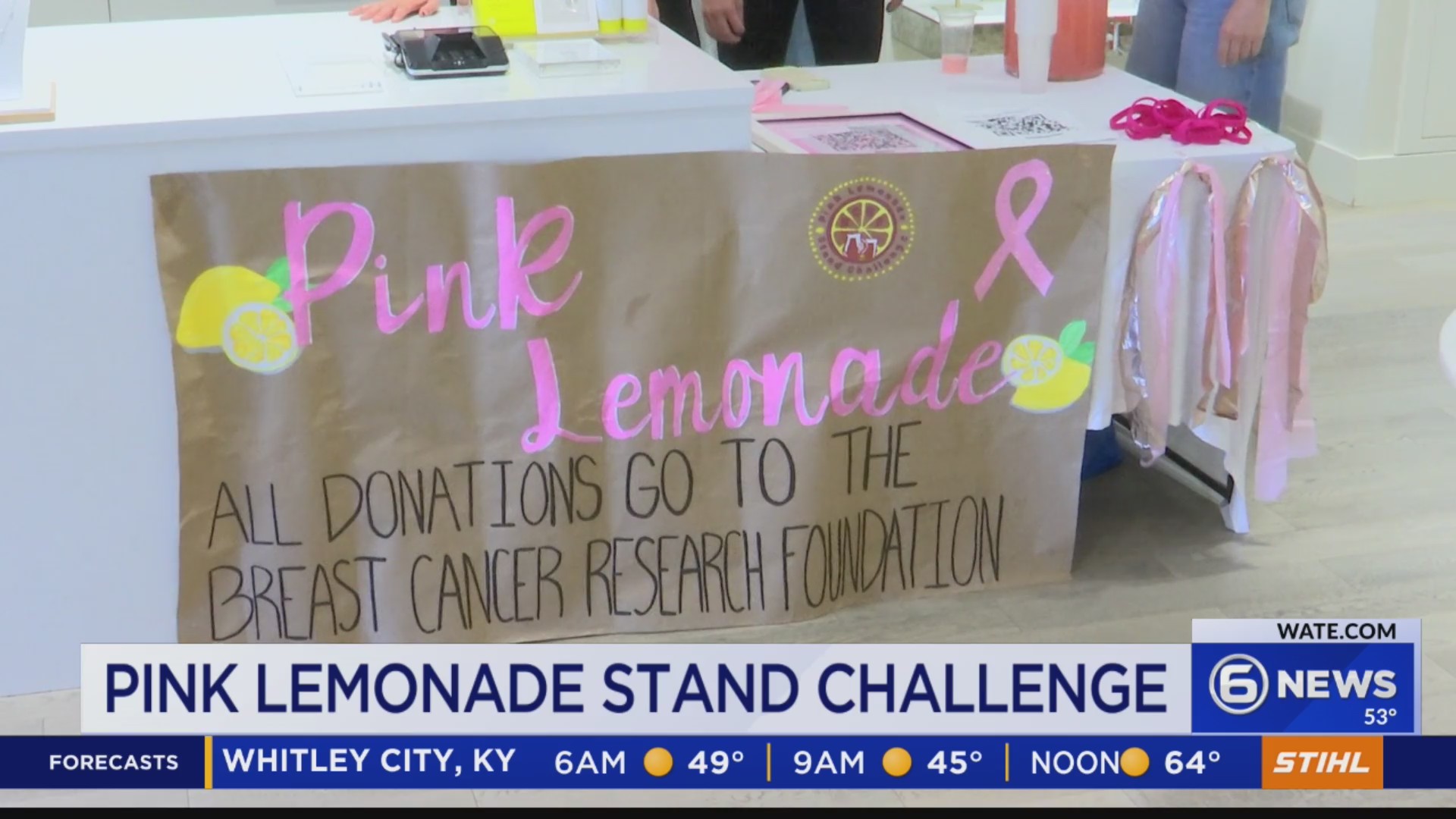 Pink Lemonade Stand Challenge – WATE 6 On Your Side