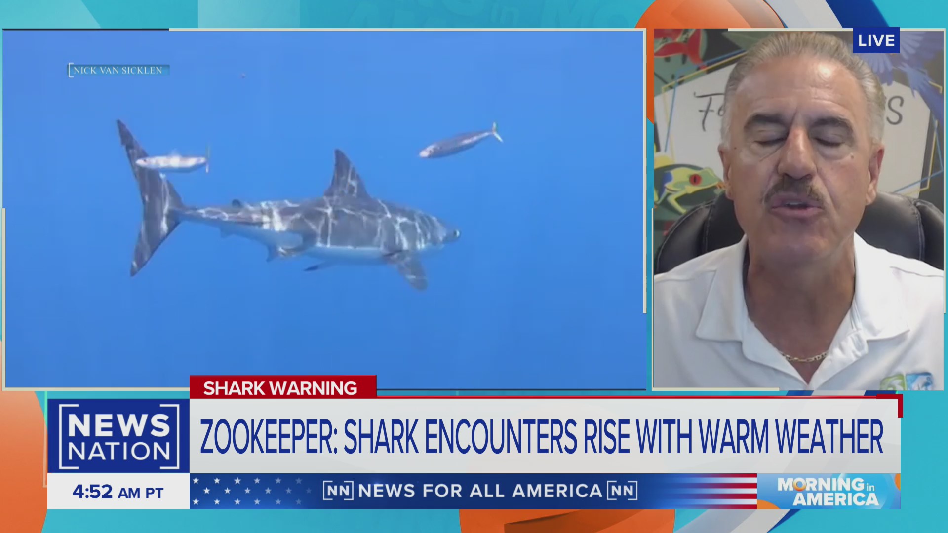 If birds are going into the water, don’t go in: Ex-zookeeper on shark ...
