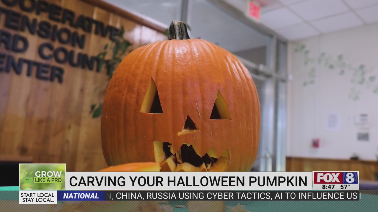 Carve a jack-o-lantern like a pro – FOX8 WGHP