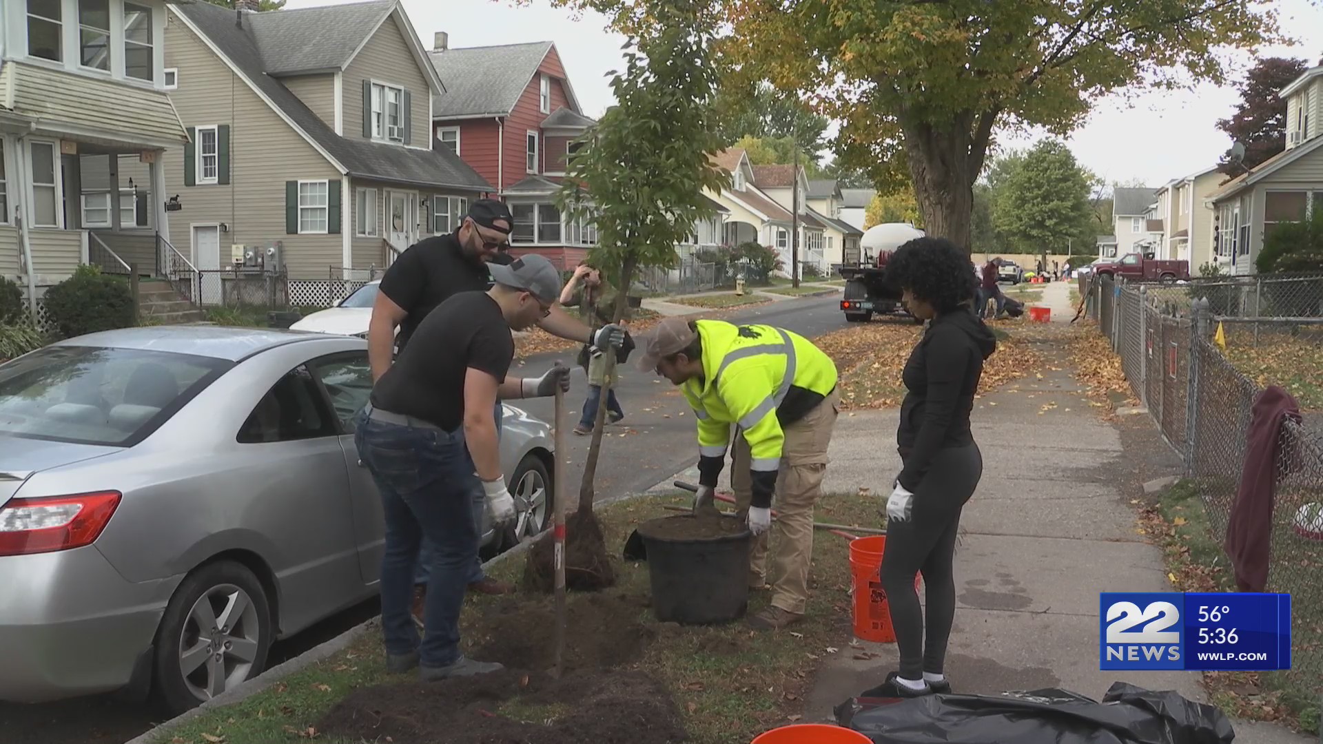 TD Bank staff plant trees in Springfield for ‘Tree Days’ event – WWLP