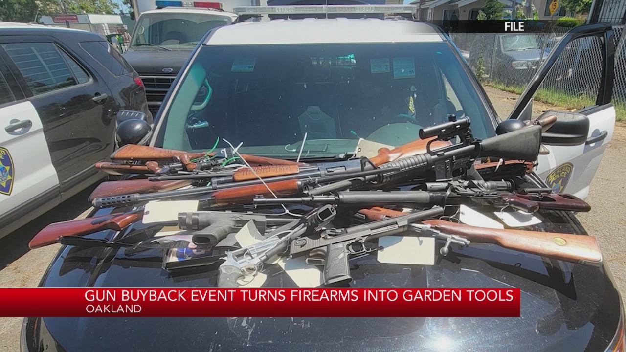 Oakland gun buyback event turns firearms into garden tools – KRON4