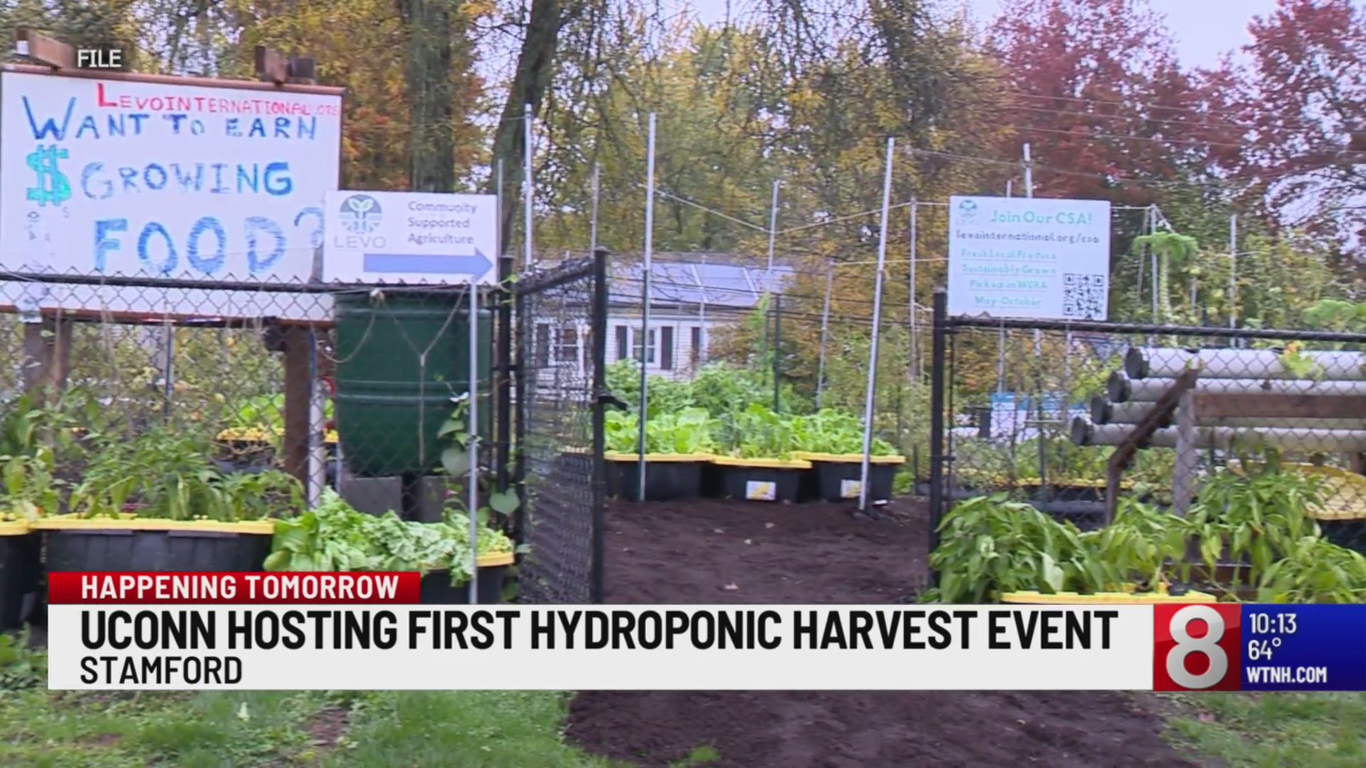 UConn students addressing food insecurity by growing hydroponic farm ...