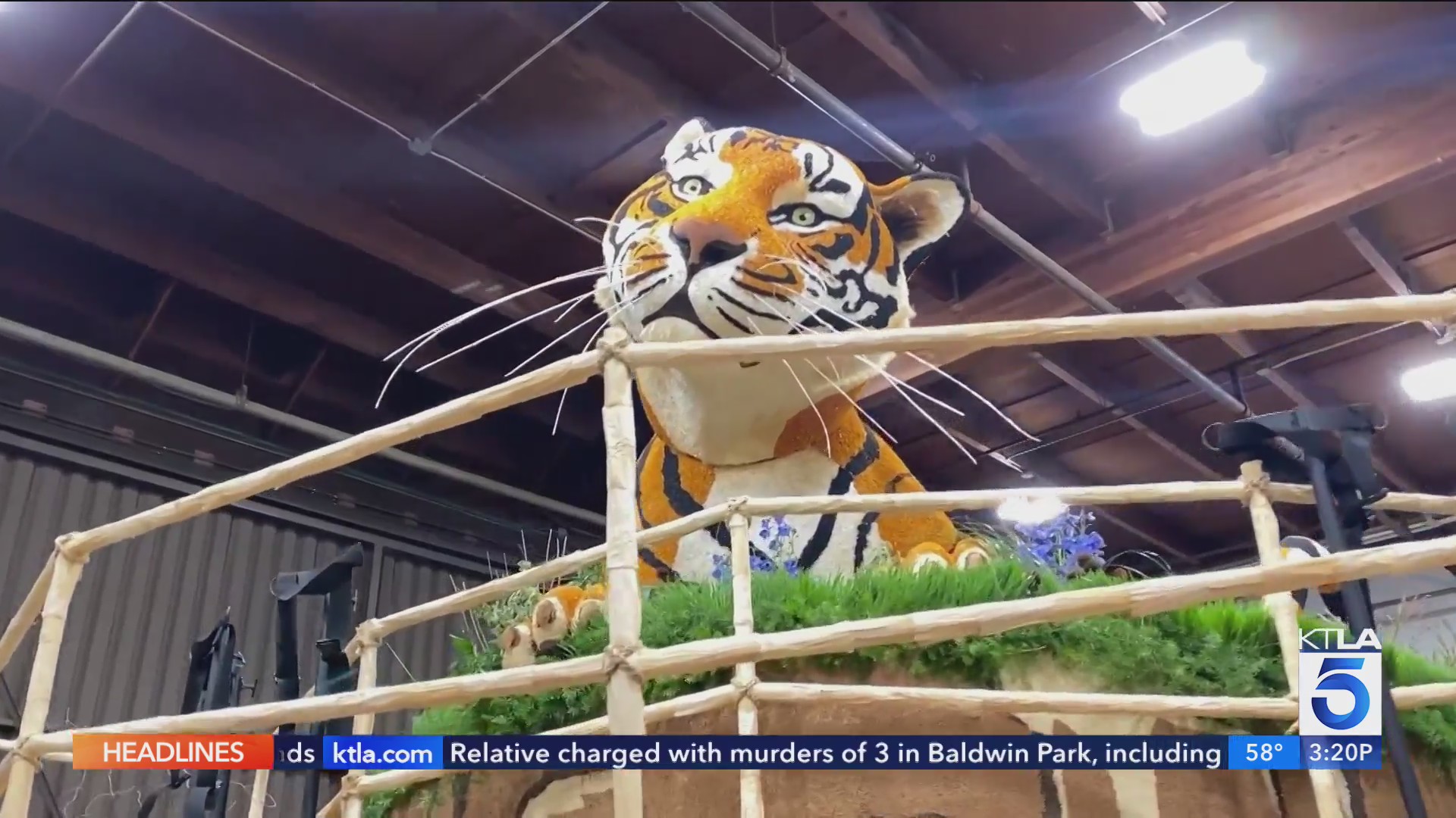 Rose Parade Floats: Judging Day & the San Diego Zoo – KTLA