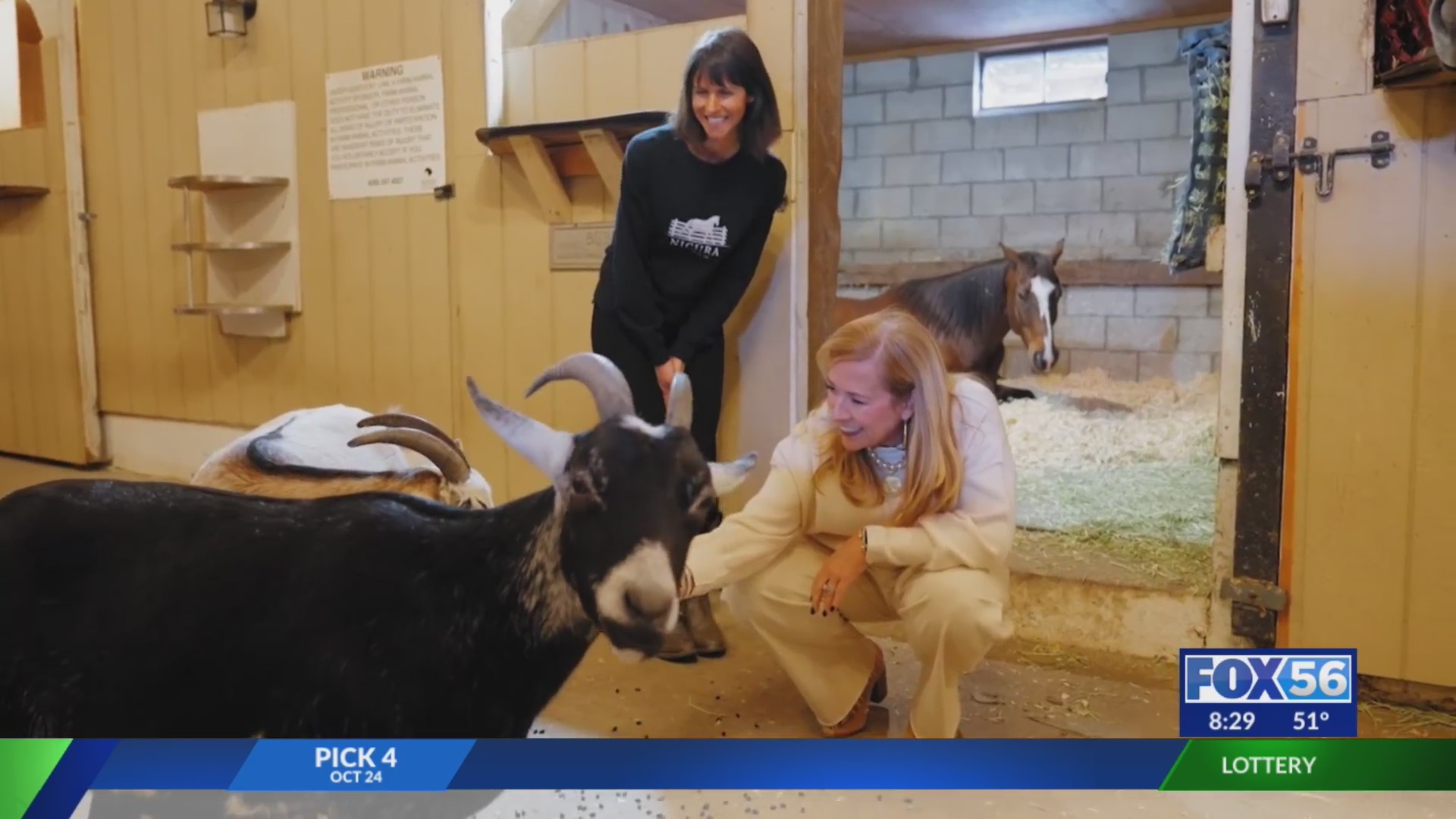 Laura Parente-Comsa at Nicura Ranch – FOX 56 News