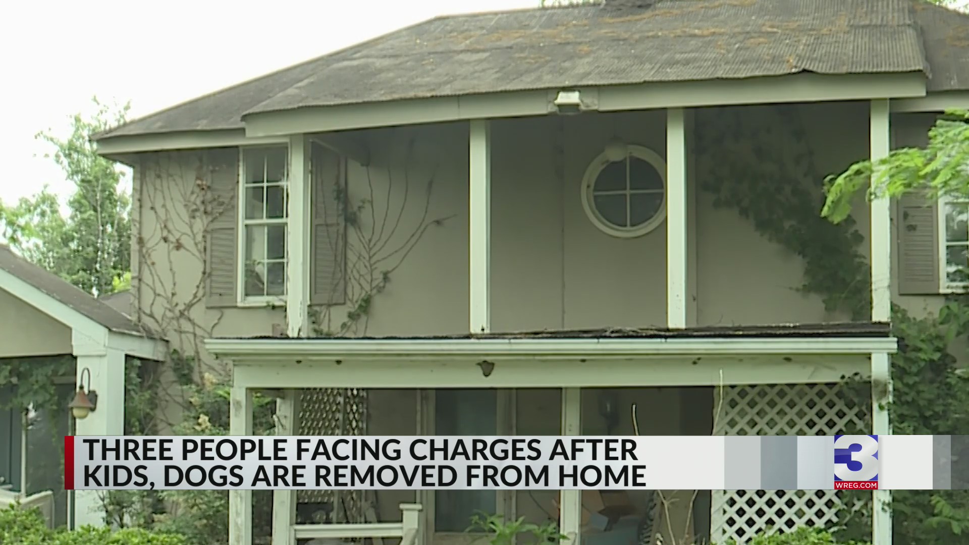 Woman fled for help from house with 70 dogs, neighbors say – WREG.com