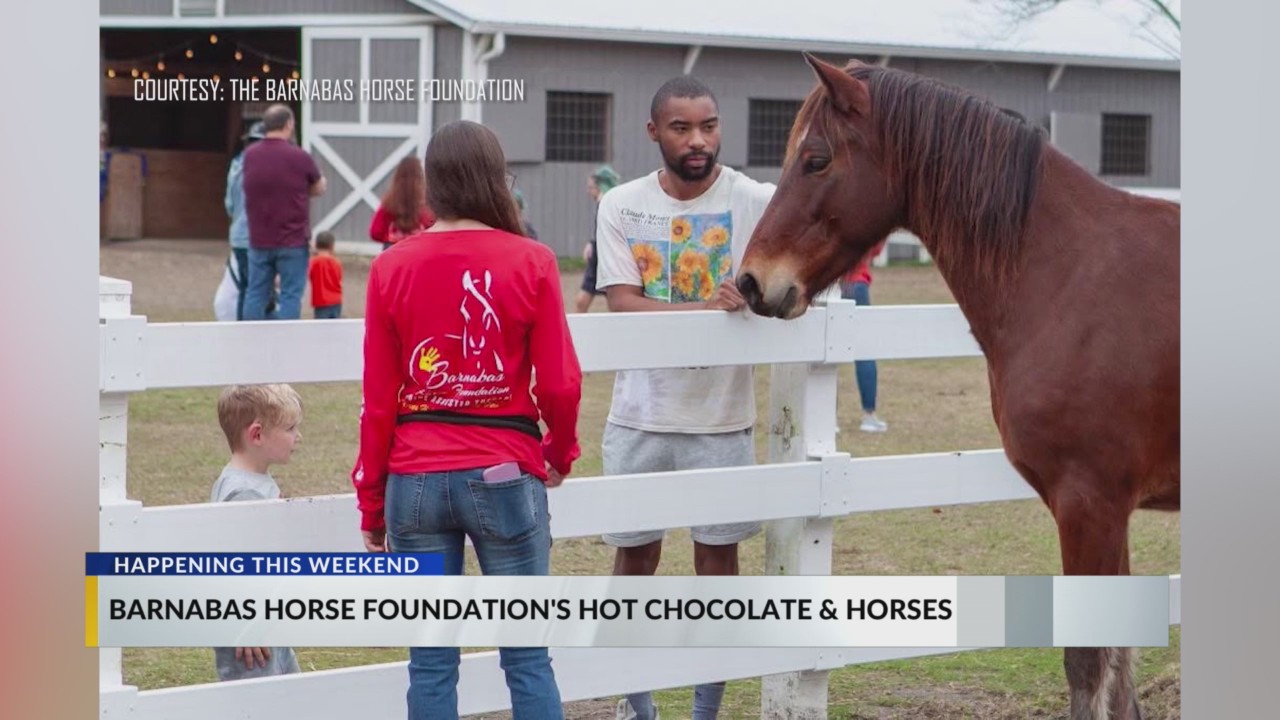Murrells Inlet Barnabas Horse Foundation to have therapy horses, hot ...