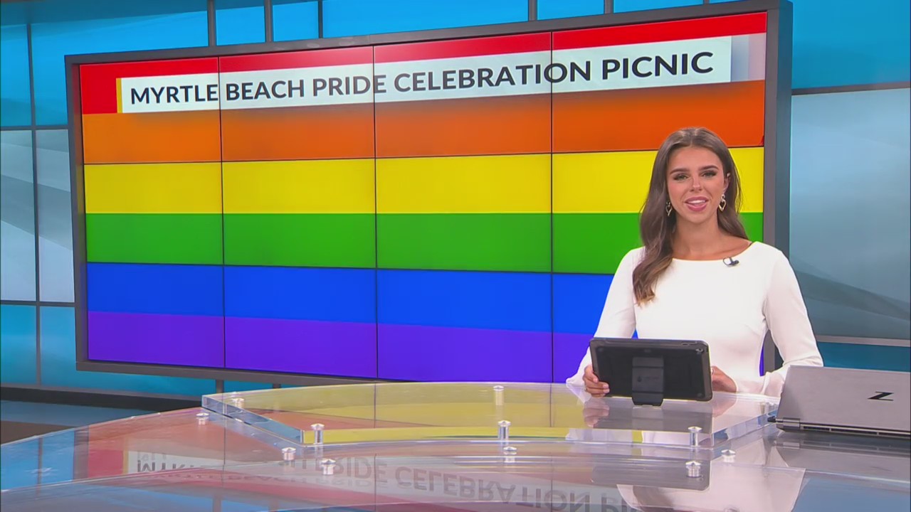 Pride Myrtle Beach hosts 4th annual picnic to kick off monthlong ...