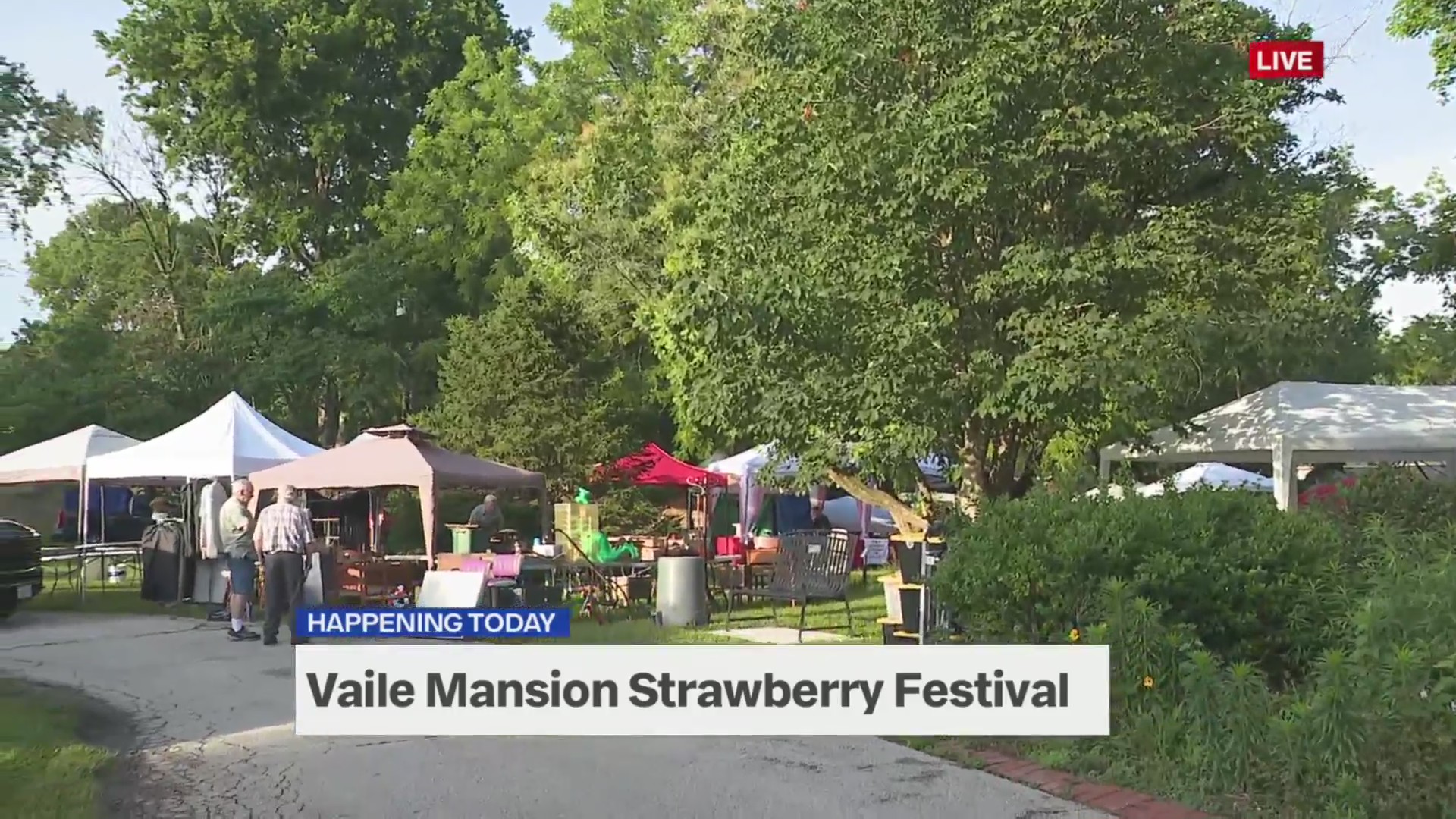 Vaile Mansion Strawberry Festival – FOX 4 Kansas City WDAF-TV | News ...
