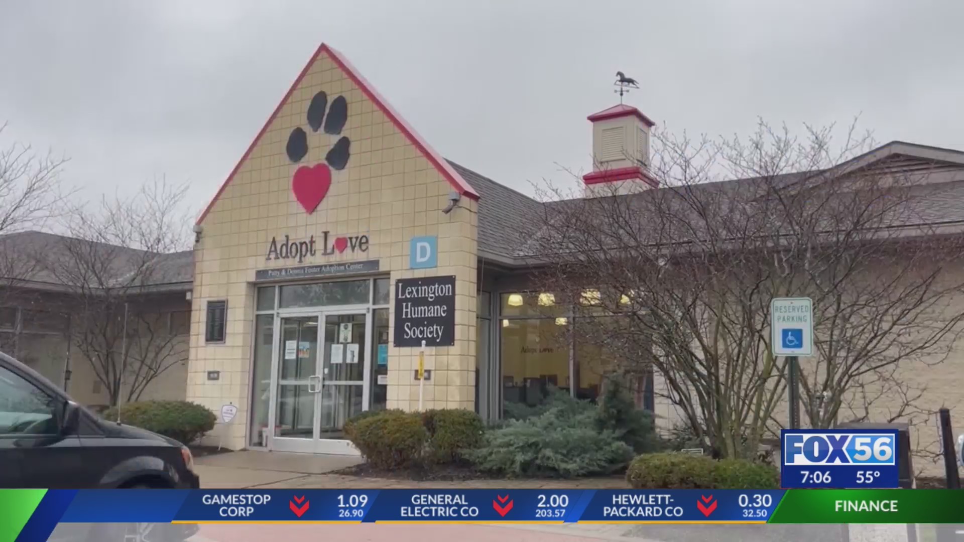 Lexington Humane Society kicks off new year with life-saving ‘Faces of ...
