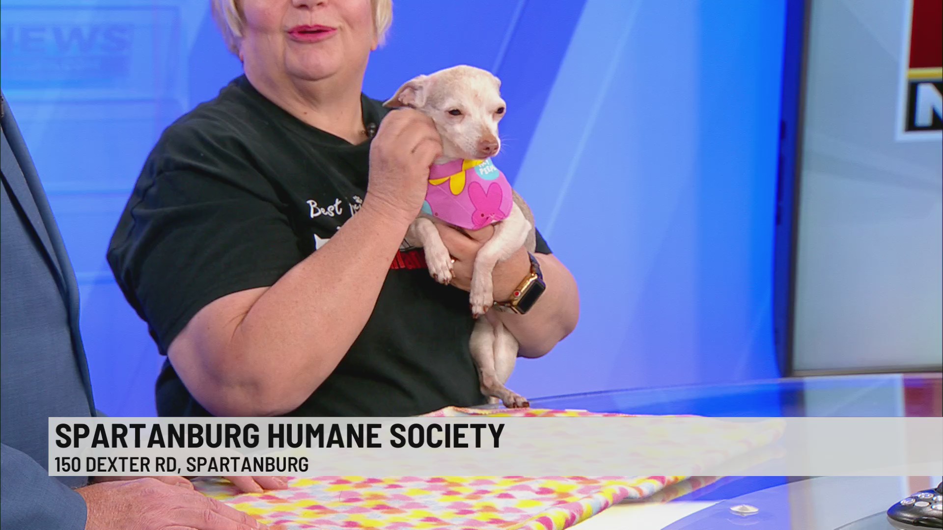 Pet of the Week: Coco – WSPA 7NEWS