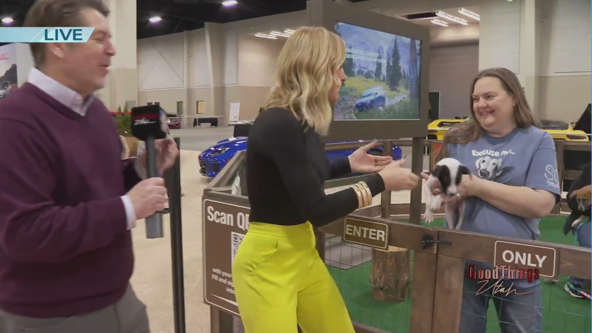 Family fun and furry friends: Utah Auto Expo has it all – ABC4 Utah