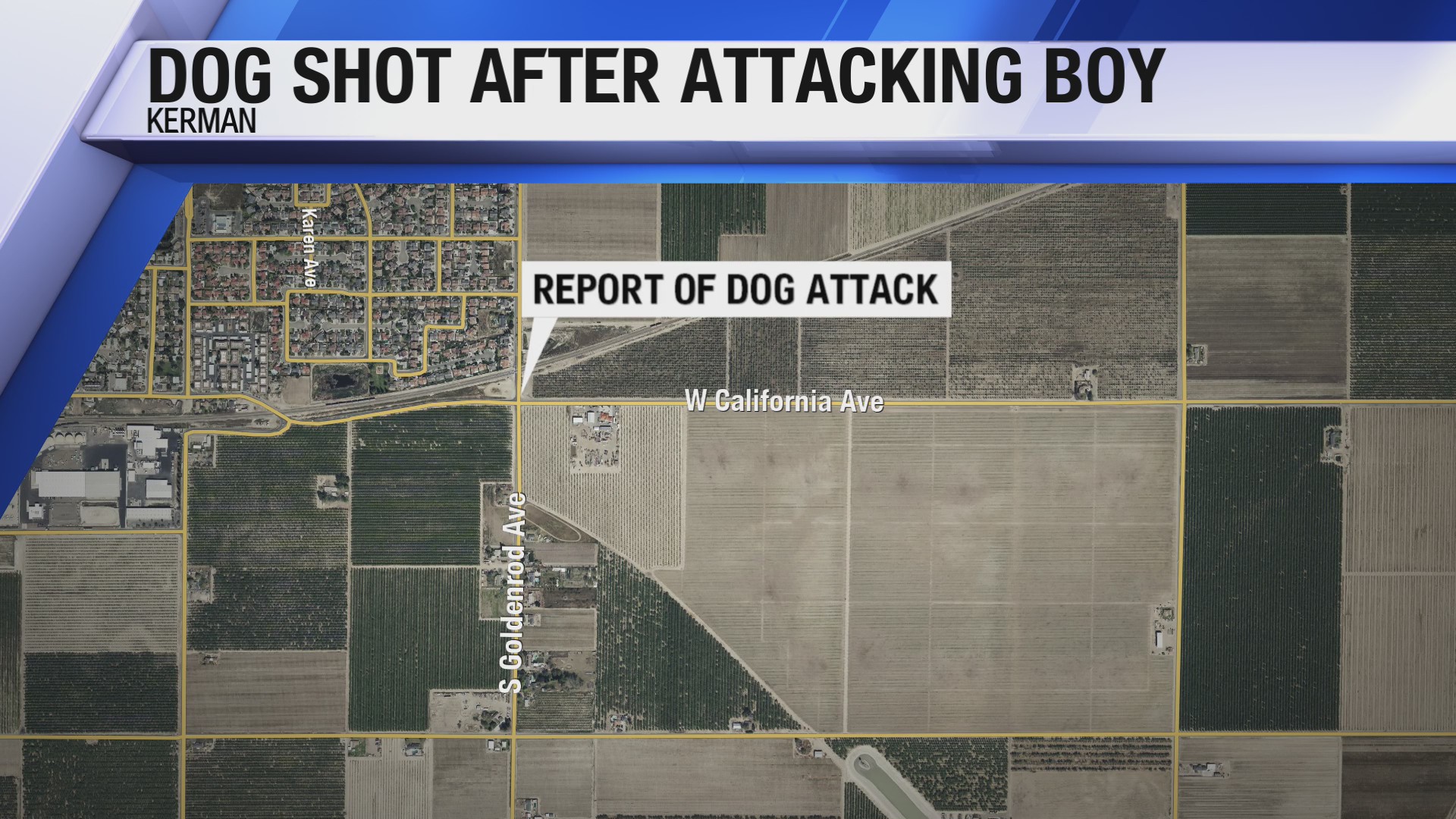 Dog shot after attacking boy in Kerman – CBS47 and KSEE24 | News from ...